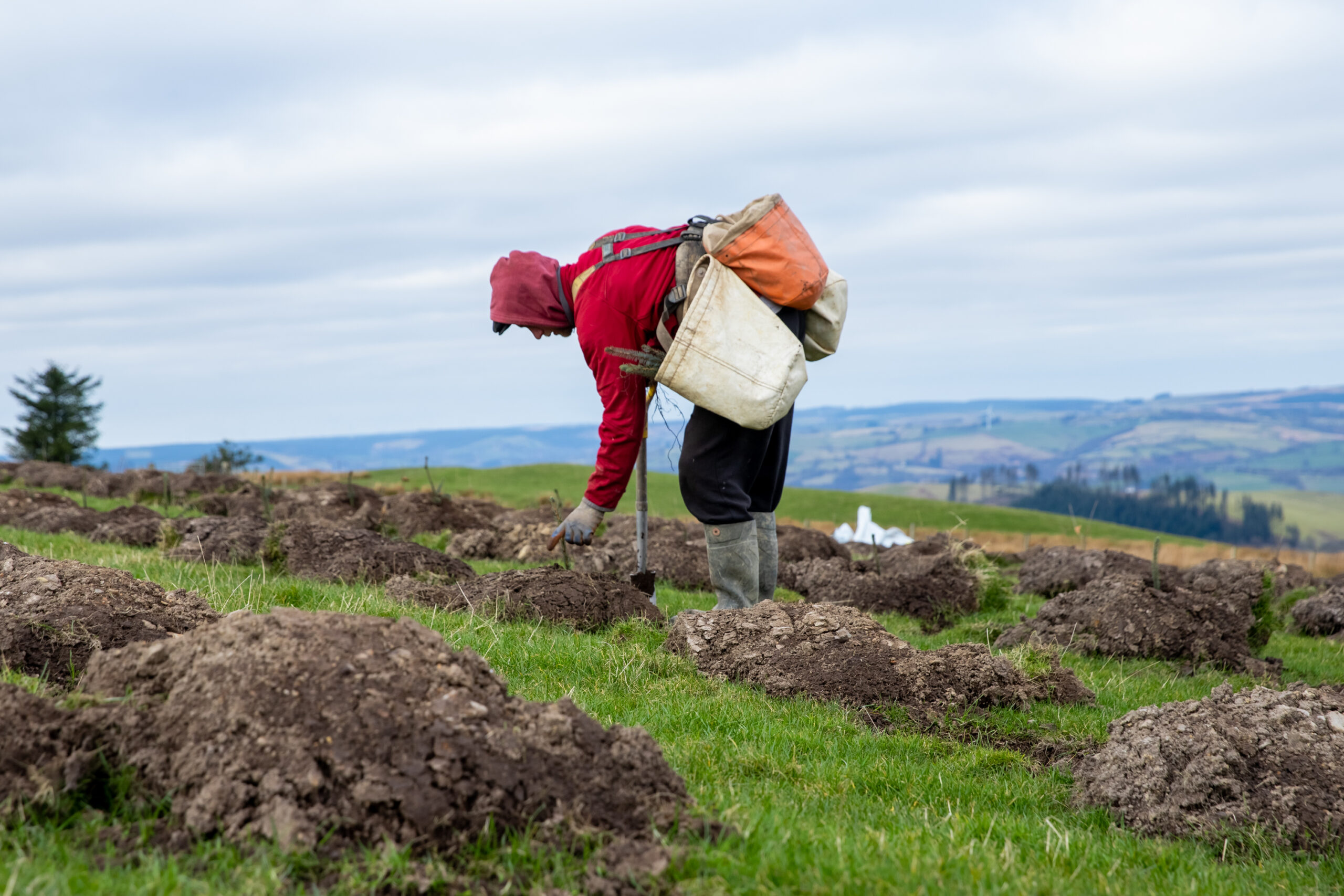 Foresight Sustainable Forestry Skills Training Programme - Tilhill Forestry