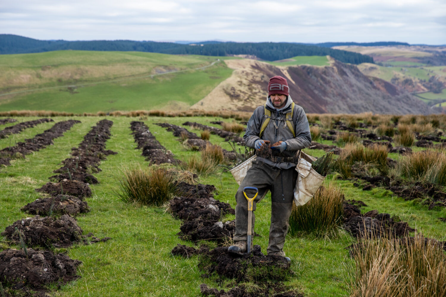 Foresight Sustainable Forestry Skills Training Programme - Tilhill Forestry