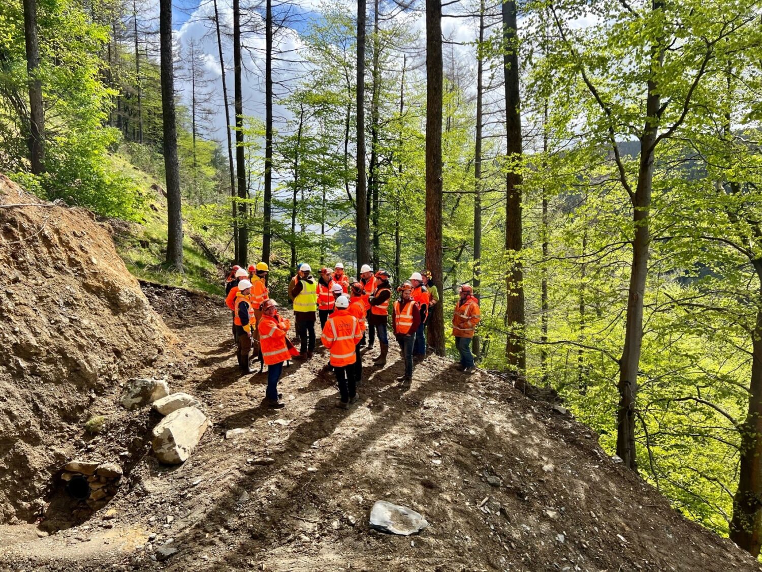 About Us and Our Forest Management Services - Tilhill Forestry