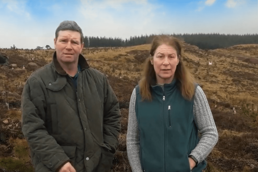 Agroforestry & Hedgerow Planting - Tilhill Forestry
