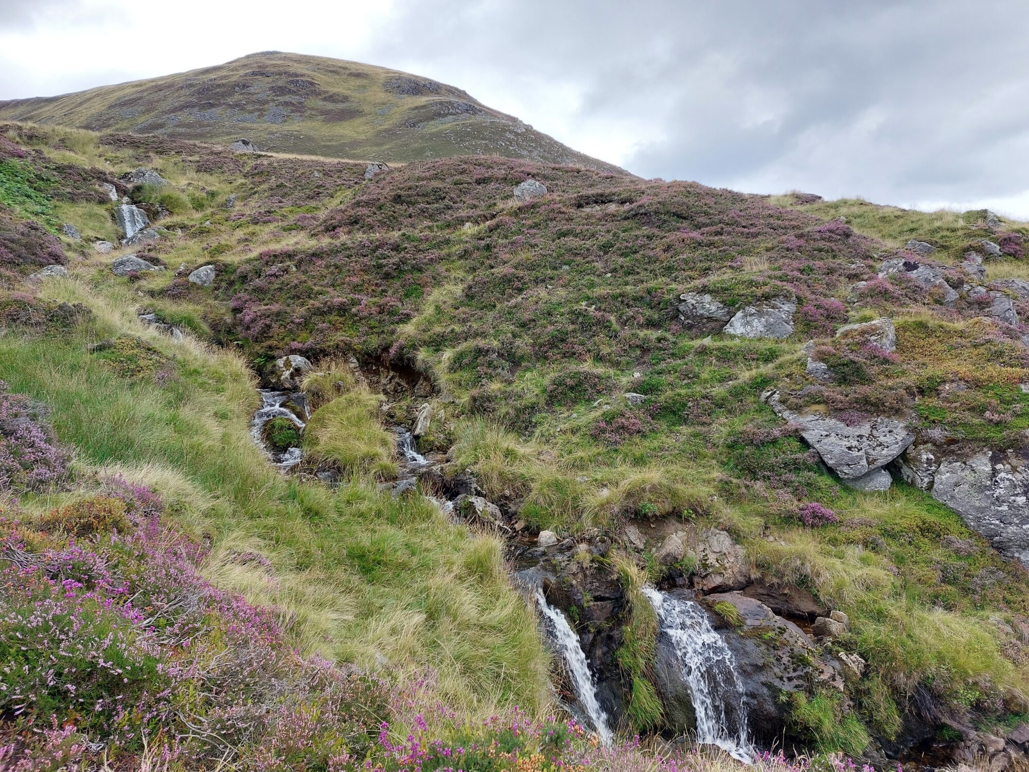 Glen Clova - Tilhill Forestry