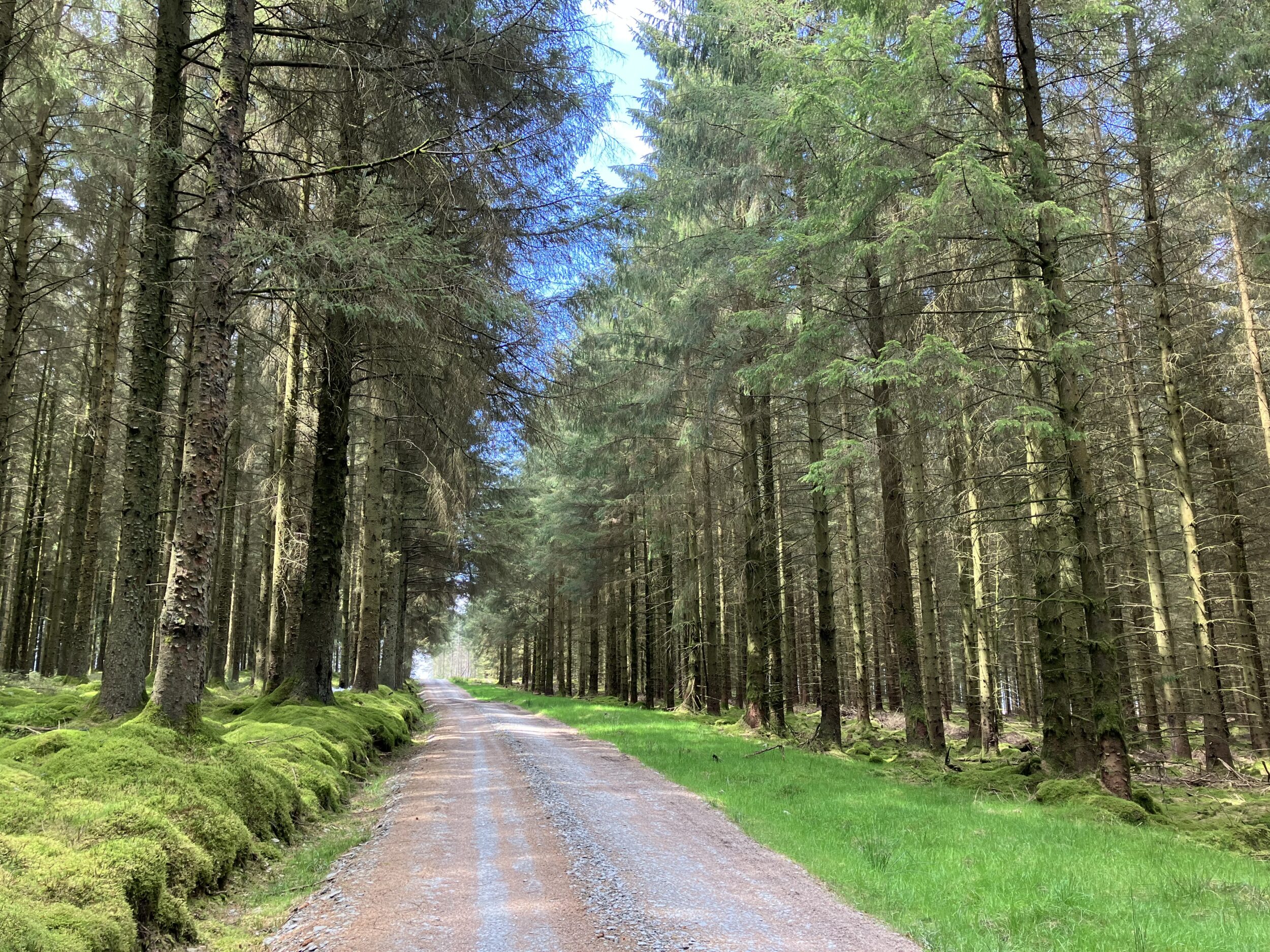 Tilhill Celebrates Stunning Twelve Award Wins in Woodlands Awards ...
