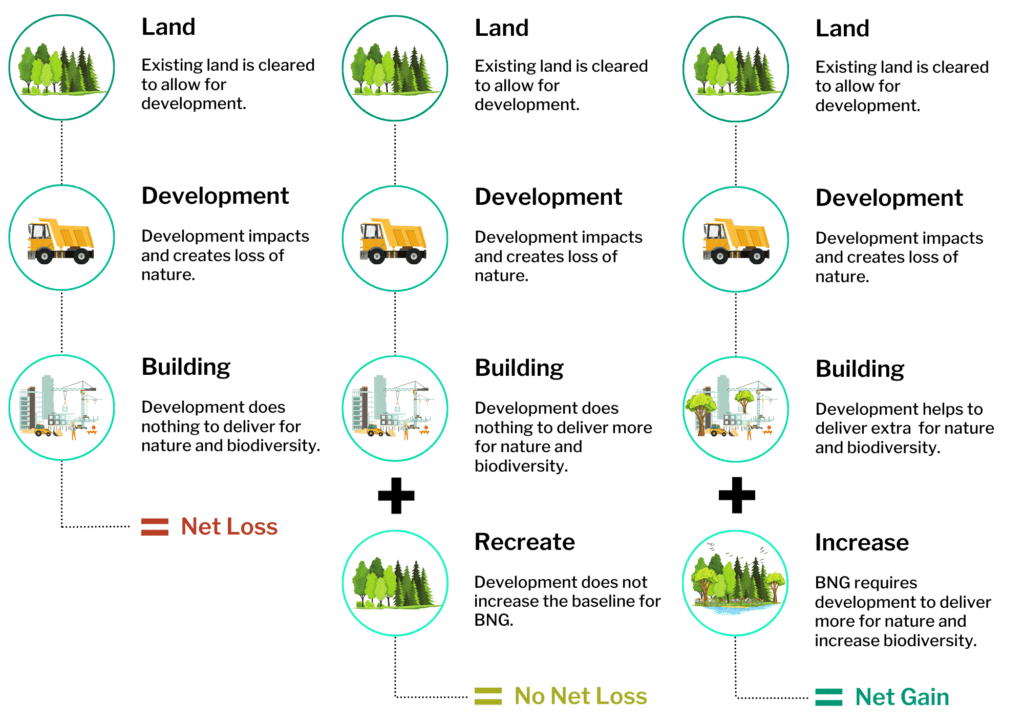 Biodiversity Net Gain (BNG) - Tilhill Forestry