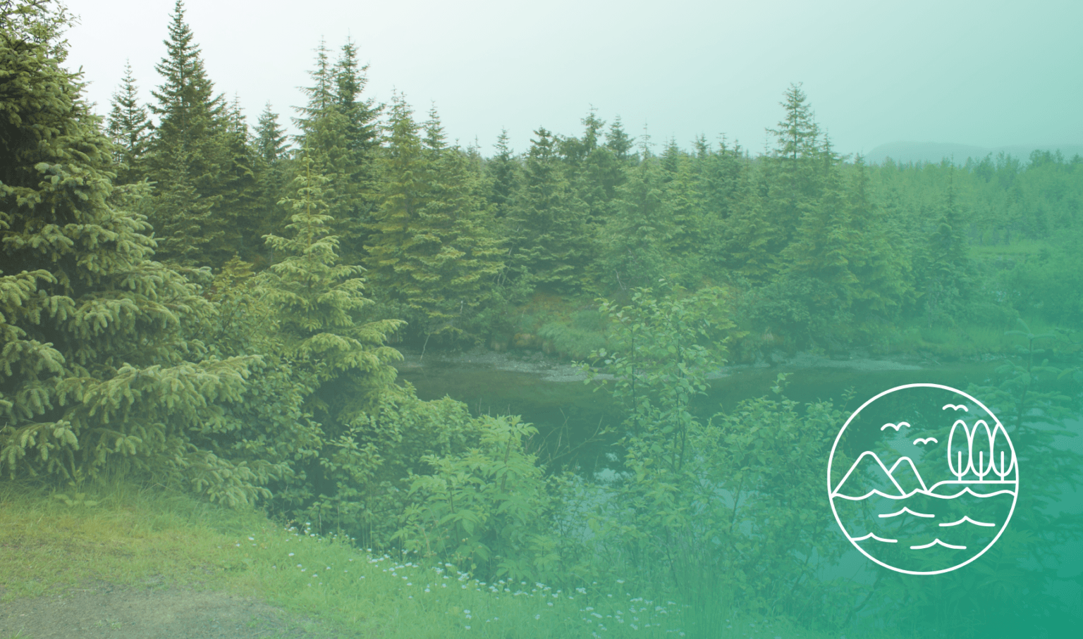 Biodiversity Net Gain (BNG) - Tilhill Forestry