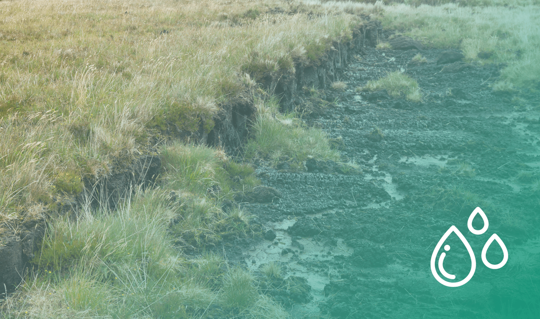 Peatland Restoration - Tilhill Forestry