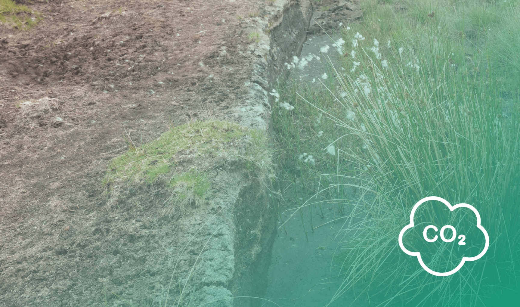 Peatland Restoration - Tilhill Forestry