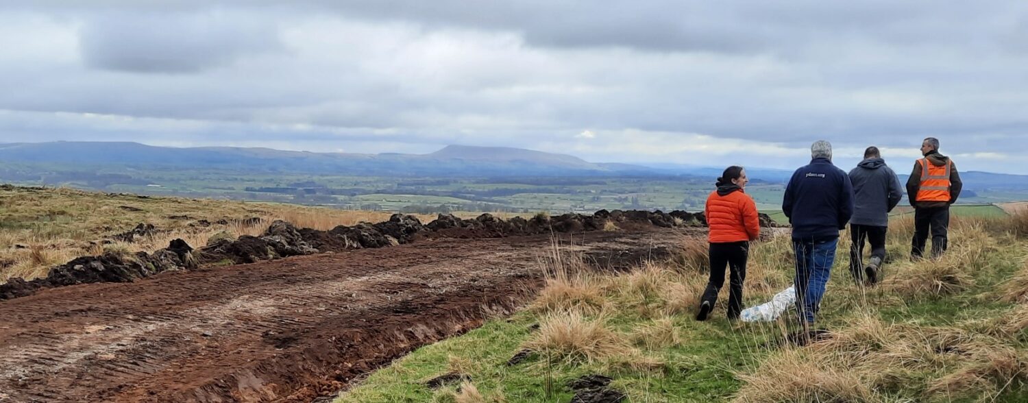 Creating a Modern Commercially Productive Woodland for Home Grown ...
