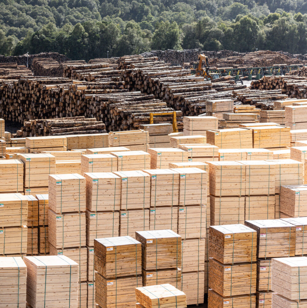 The UK Forest Market Report - Tilhill Forestry