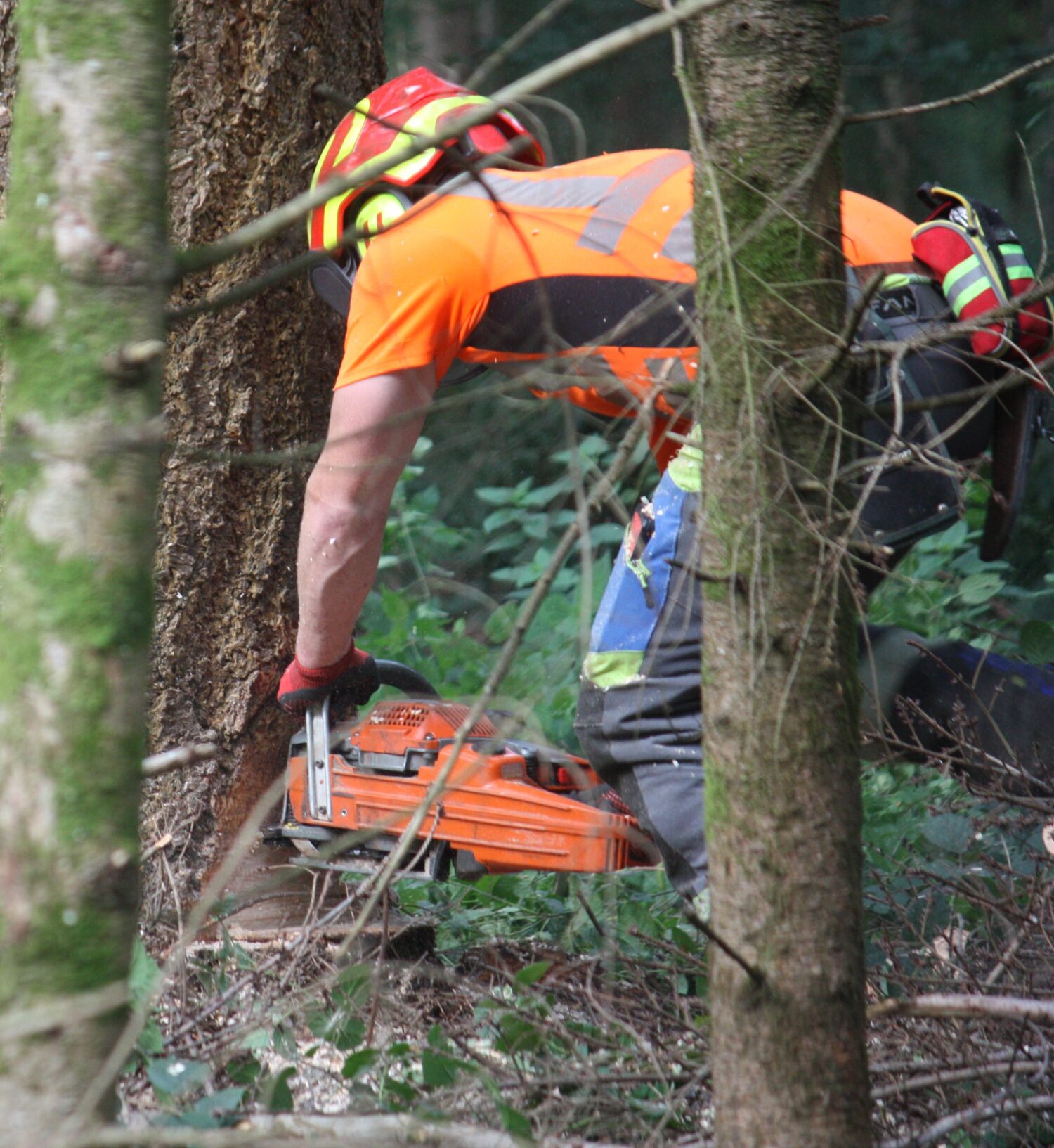 Contractors - Tilhill Forestry