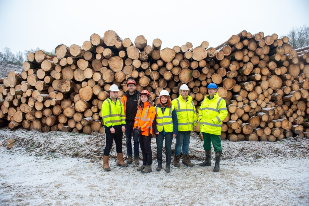 Tarras Valley Nature Reserve and Tilhill harvest timber for major ...