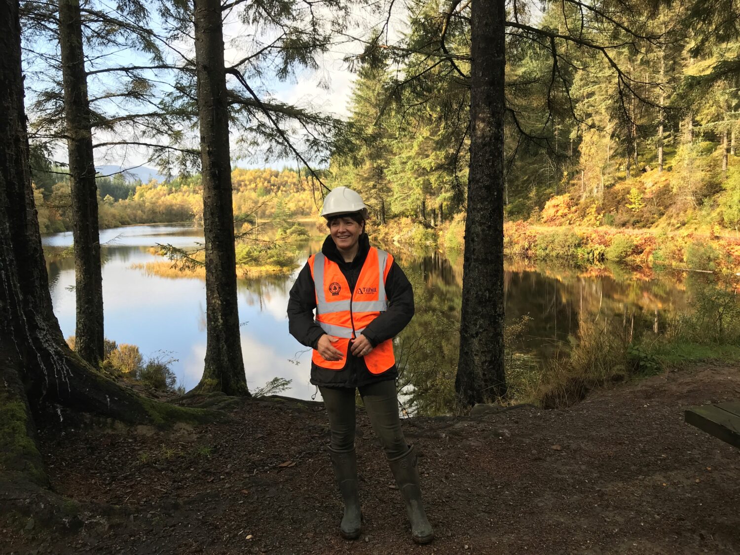 News - Tilhill Forestry