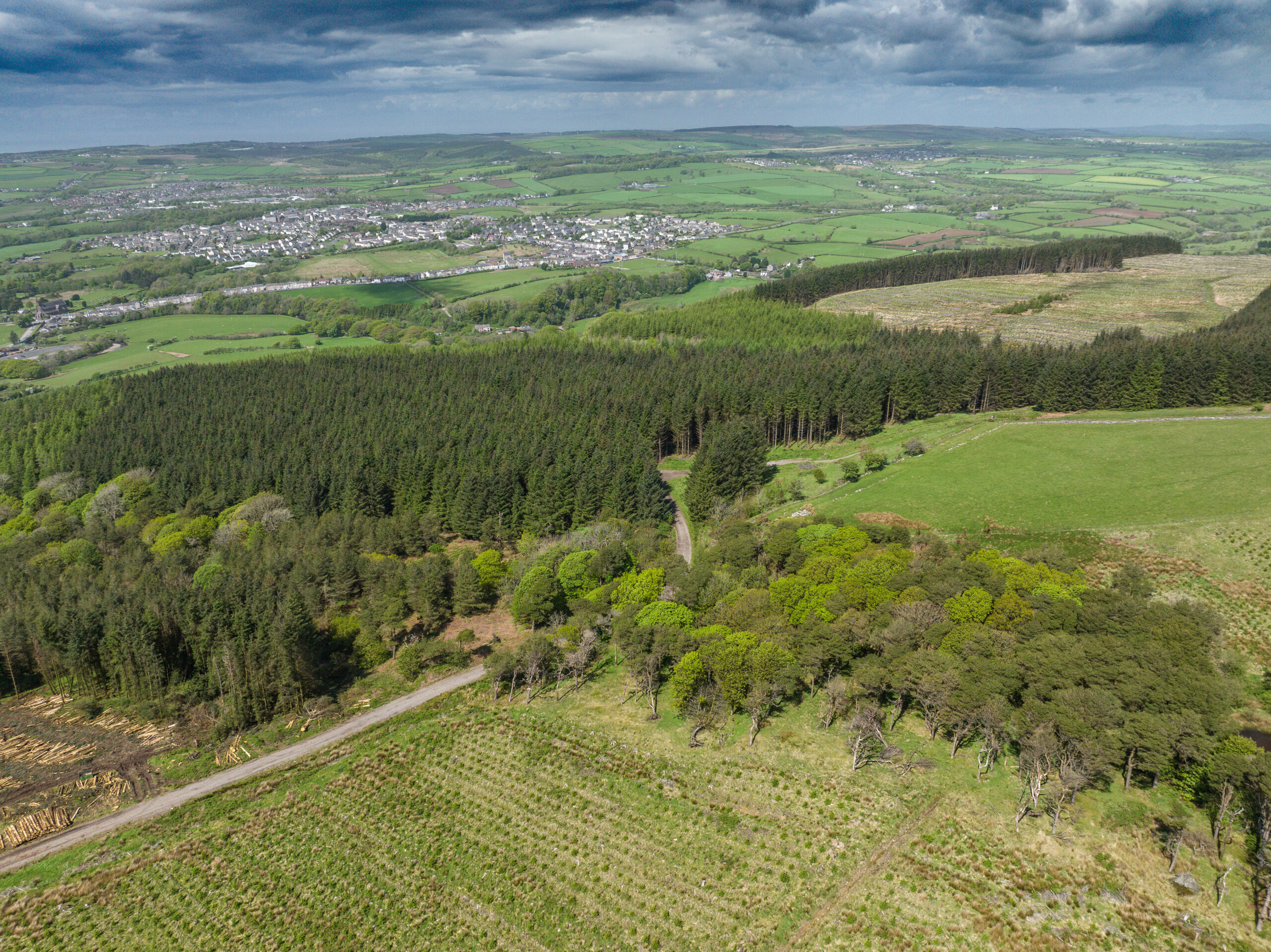 The UK Forest Market Report - Tilhill Forestry