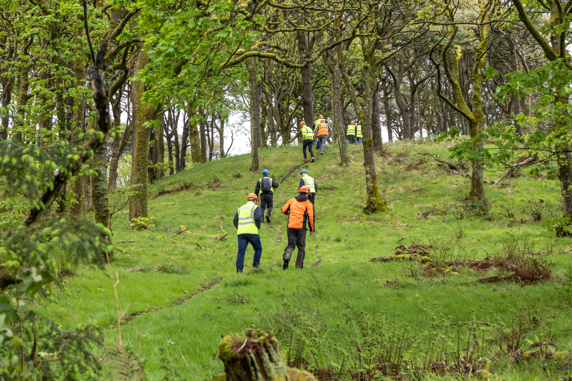 Woodland & Sustainable Forest Management | Tilhill Forestry UK
