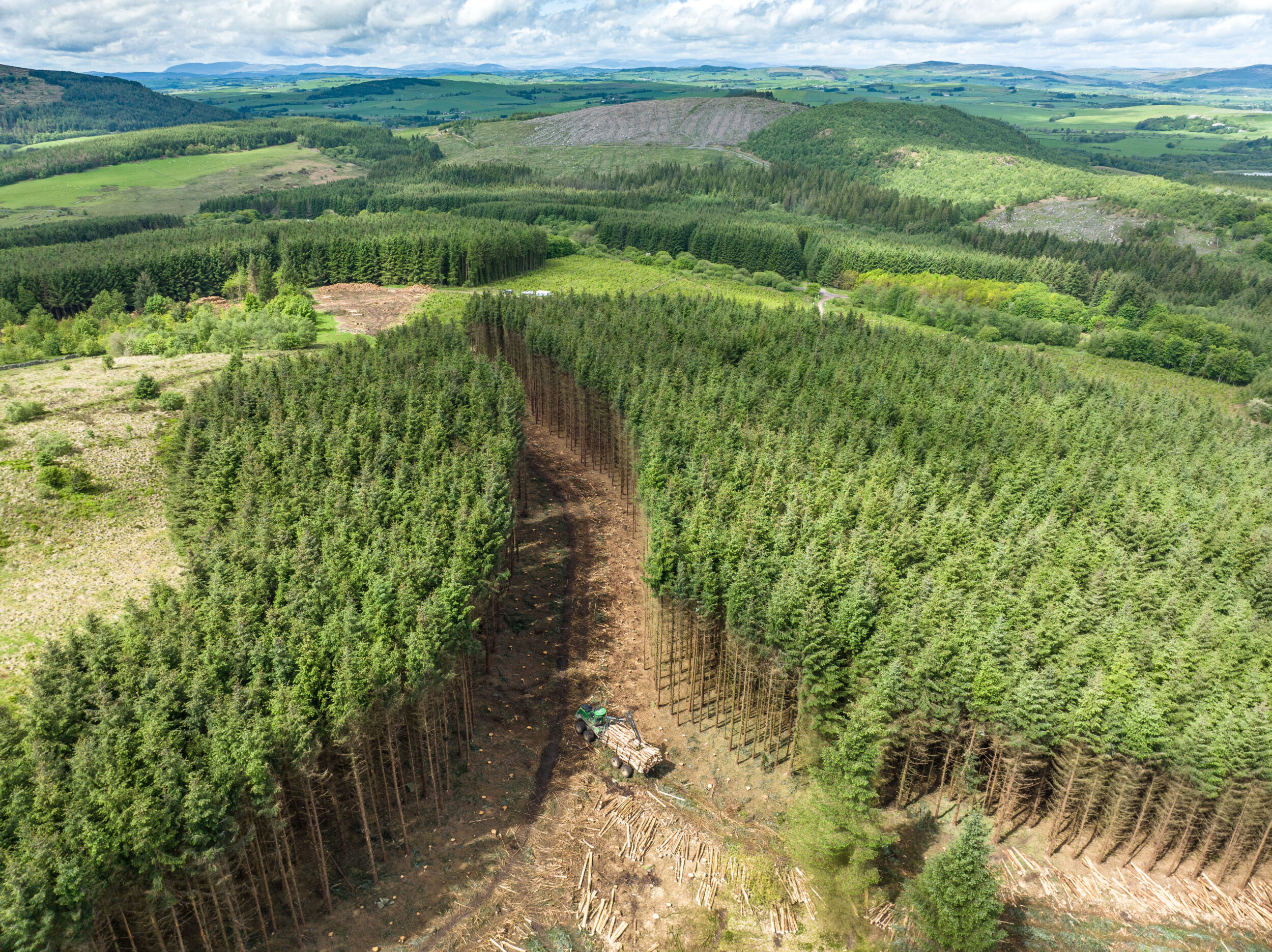 The UK Forest Market Report - Tilhill Forestry