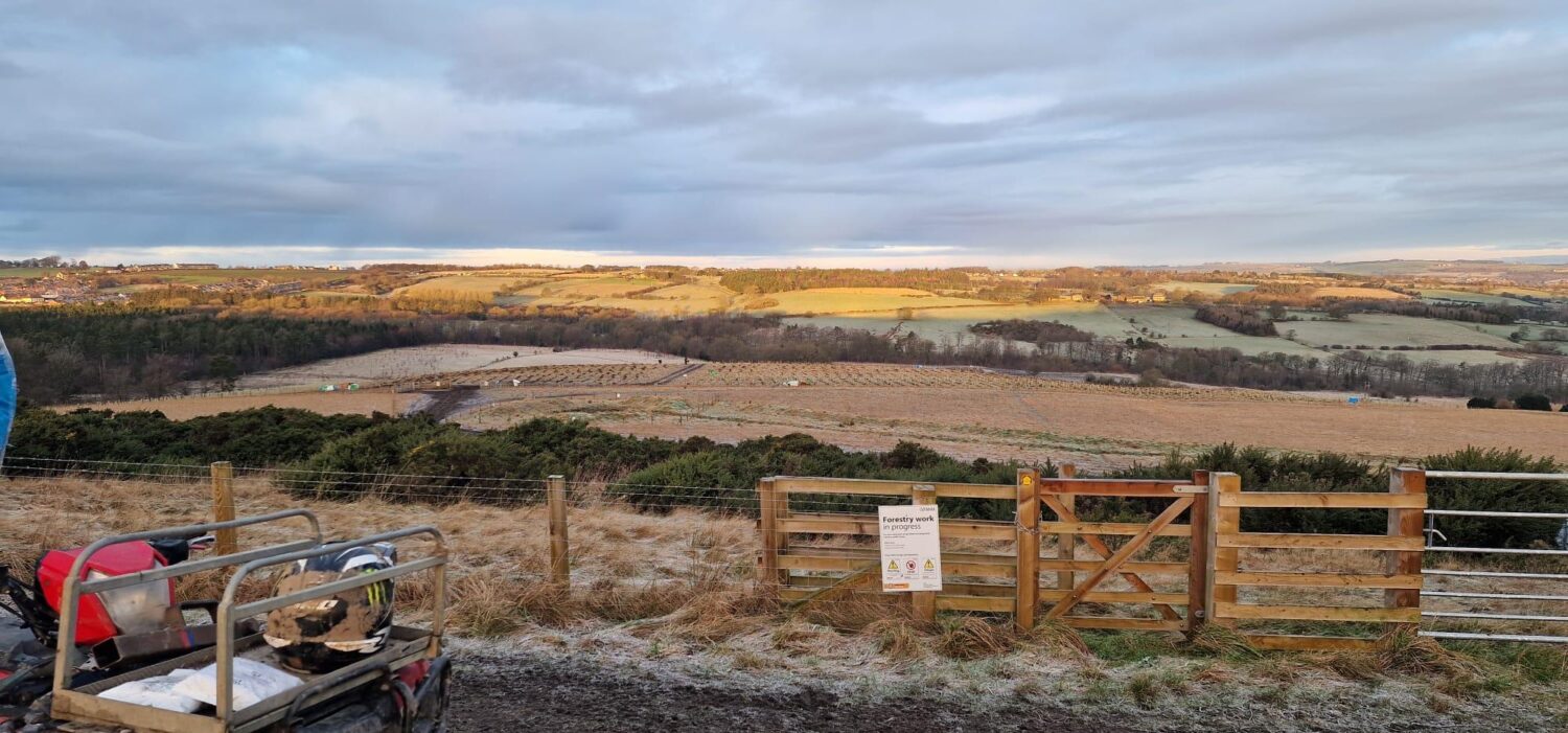 Tilhill Forestry begins planting new 18-hectare woodland on the site of ...