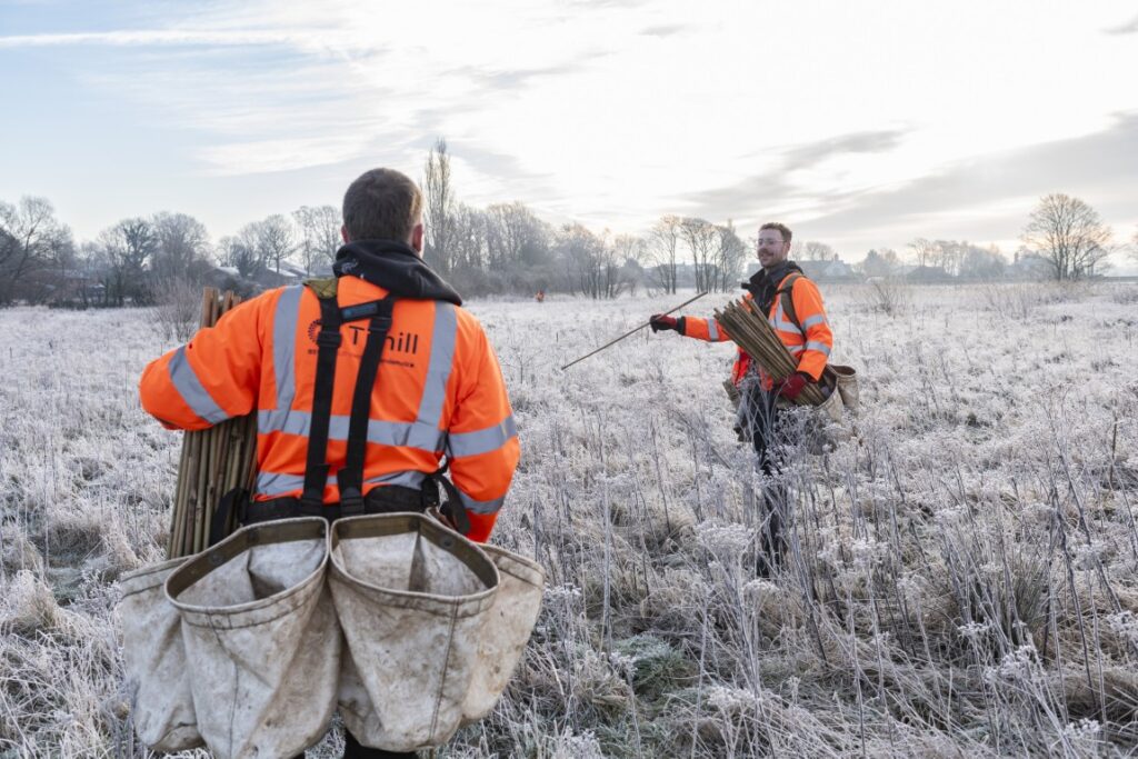 Woodland & Sustainable Forest Management | Tilhill Forestry UK