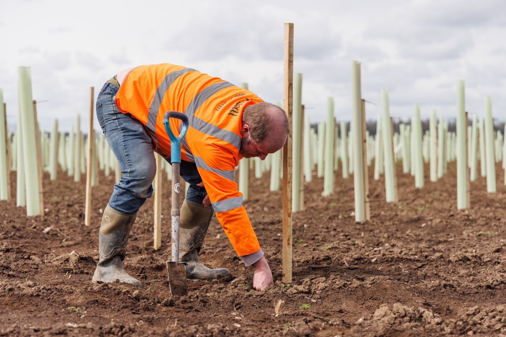 Tilhill plants trees for Commonwealth legacy project - Tilhill Forestry